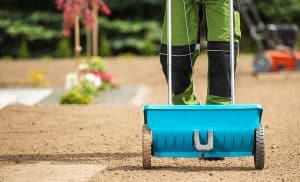 When To Use Sand On Your Lawn - OutsideResource