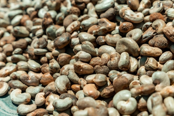 7 Household Items That Are Poisonous - OutsideResource