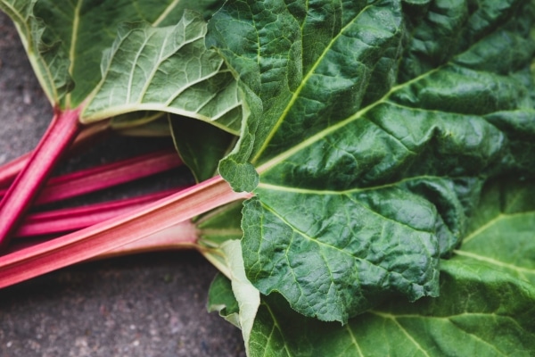 7 Household Items That Are Poisonous - OutsideResource