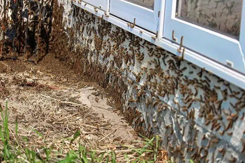 The Harsh Realities of Neglecting Your Backyard - OutsideResource